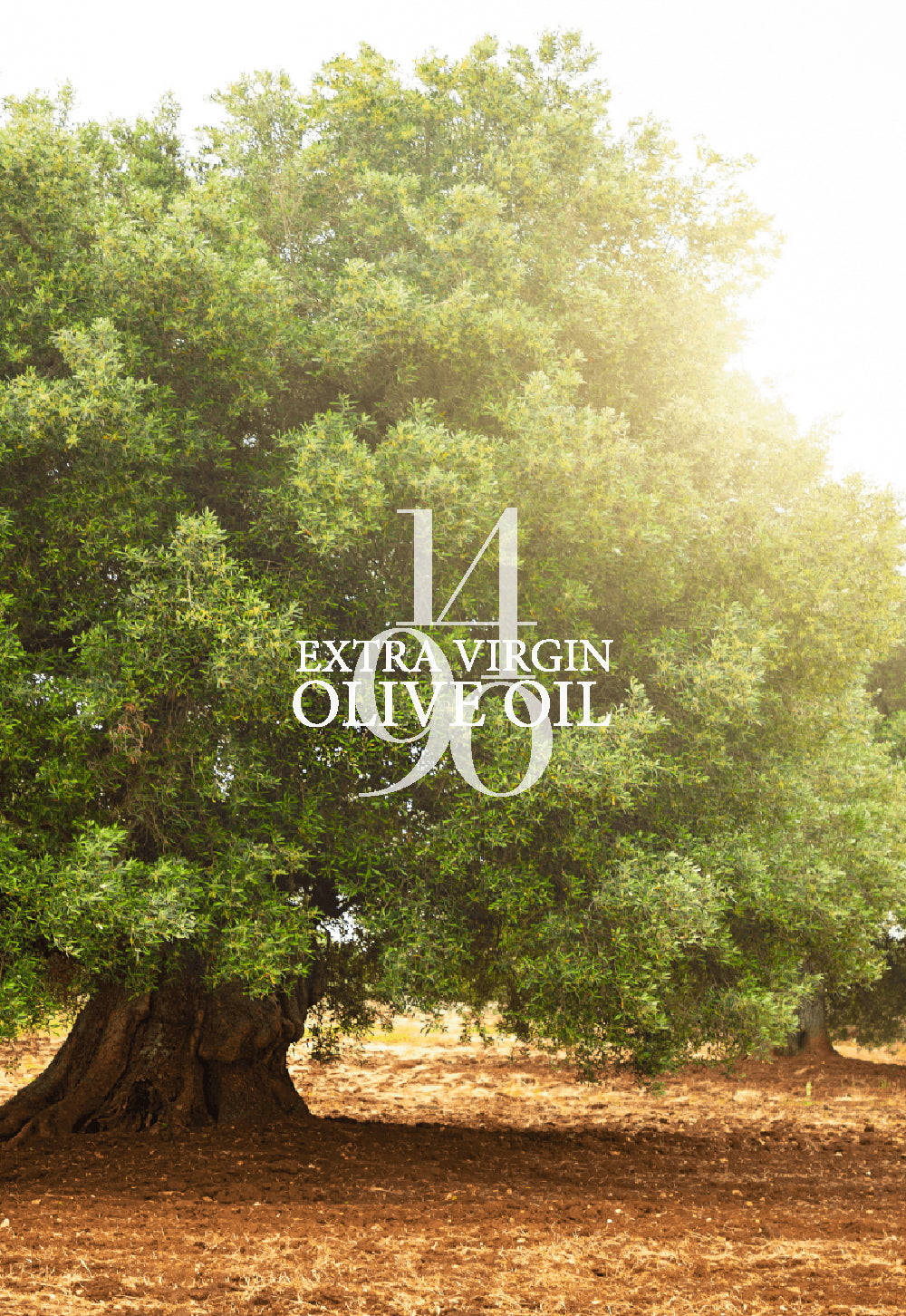 Detrás de la marca – 1490